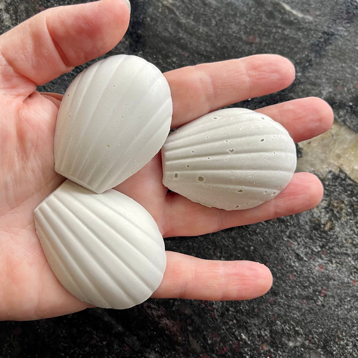 Snail Calcium Blocks - 3 Shells – Scapeshop.com.au